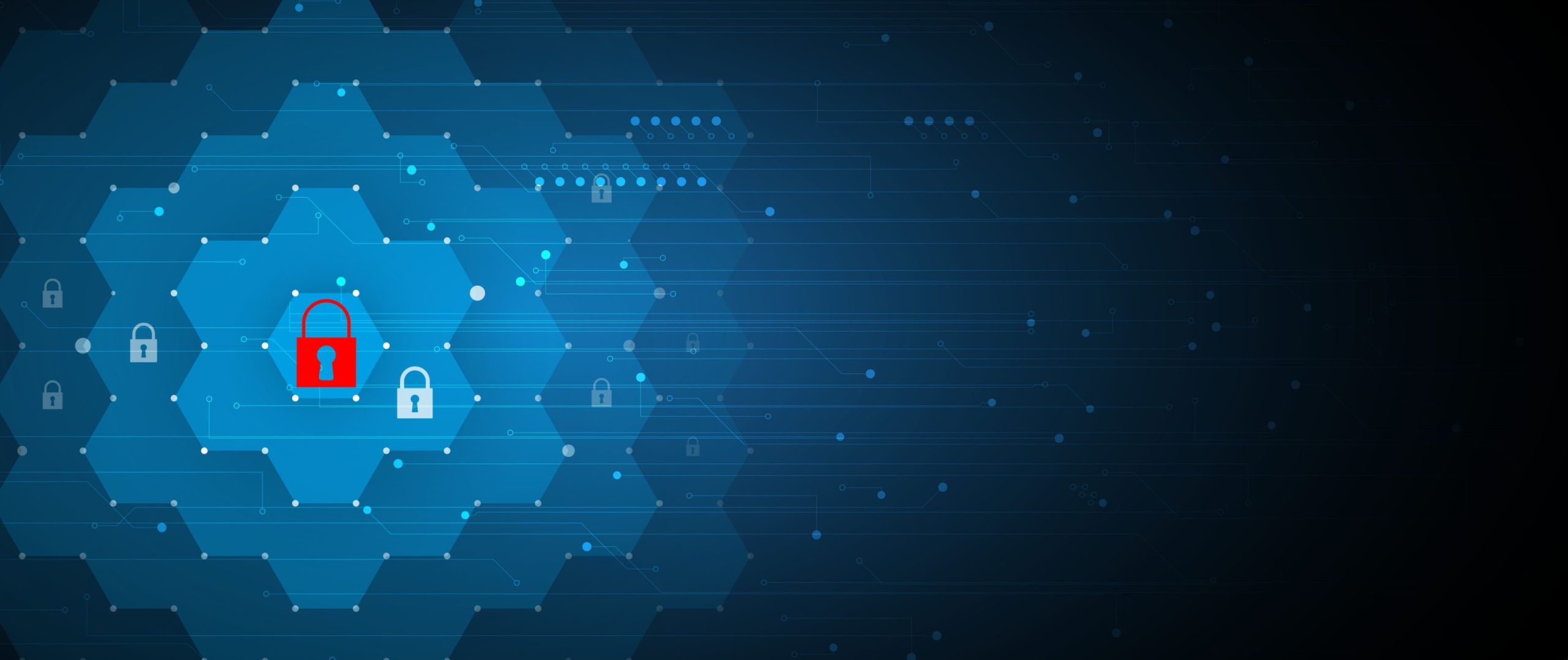 Best Online Cyber Security Masters Programs: Students Before Profits