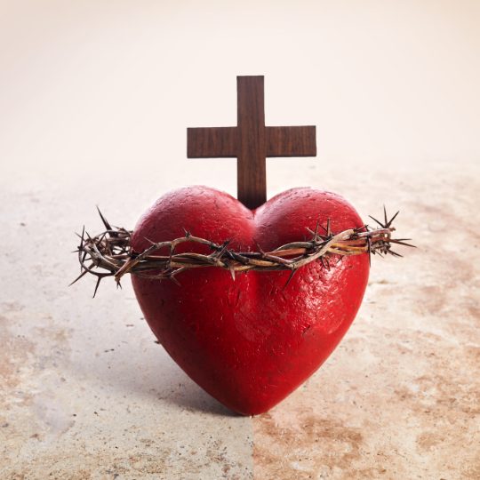 Best Online Master's in Ministry: Students Before Profits Award