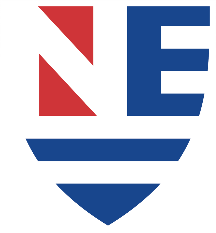 New England College Online Profile