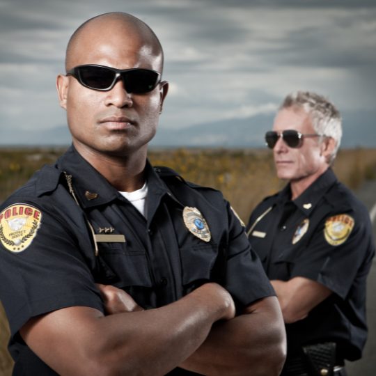 Top 20 Master's in Law Enforcement Online Degrees